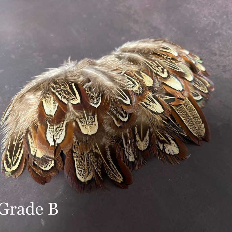 Brown Feathers - Etsy