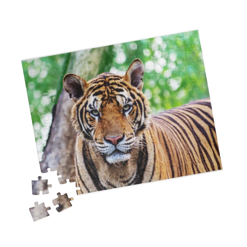 BENGAL TIGER Puzzle 110, 252, 520 and 1014 Piece Options - Etsy