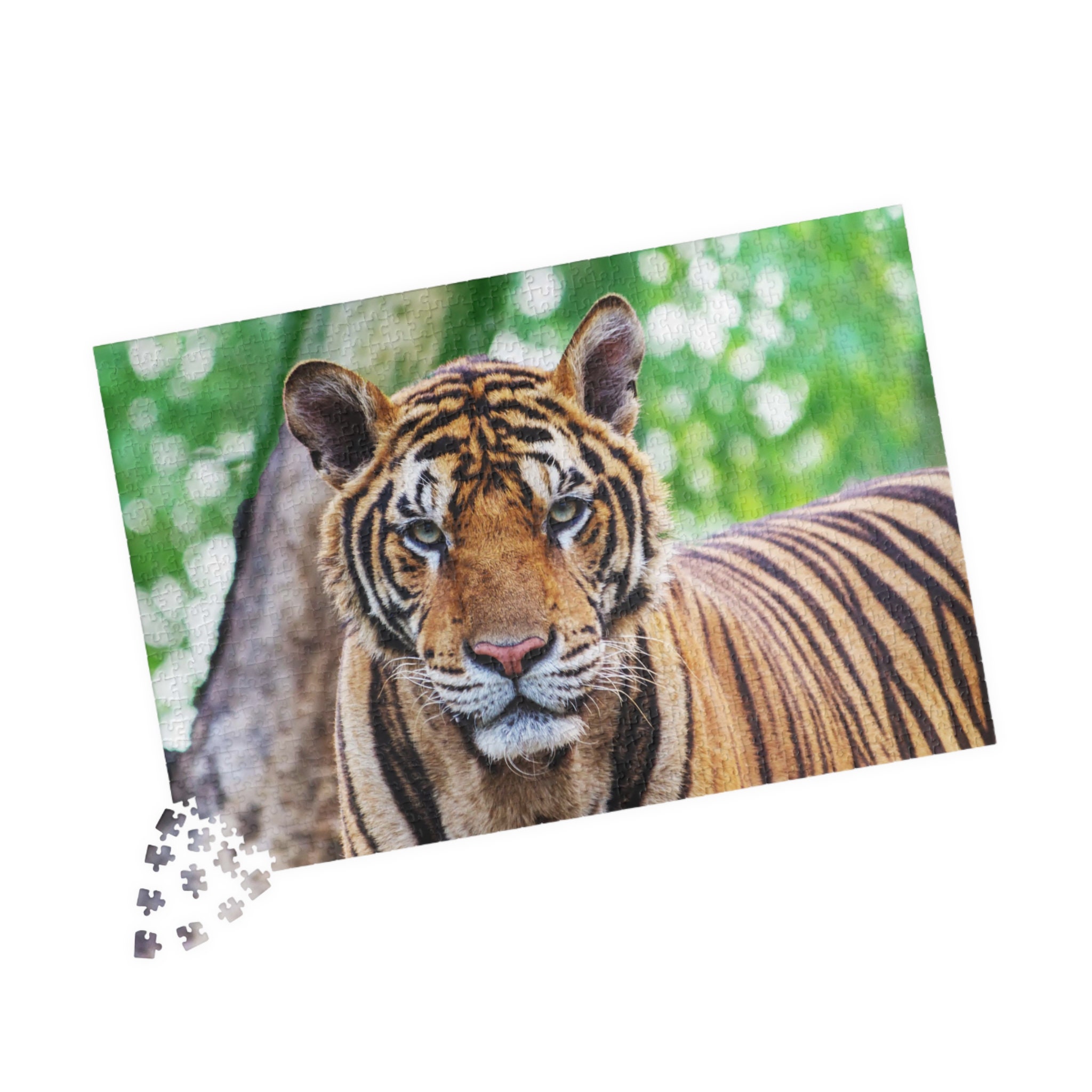 BENGAL TIGER Puzzle 110, 252, 520 and 1014 Piece Options - Etsy