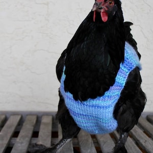Hand Knit Chicken Sweaters. Message Us to Pick a Colour. - Etsy