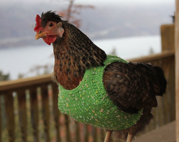 Chicken Sweaters - Etsy