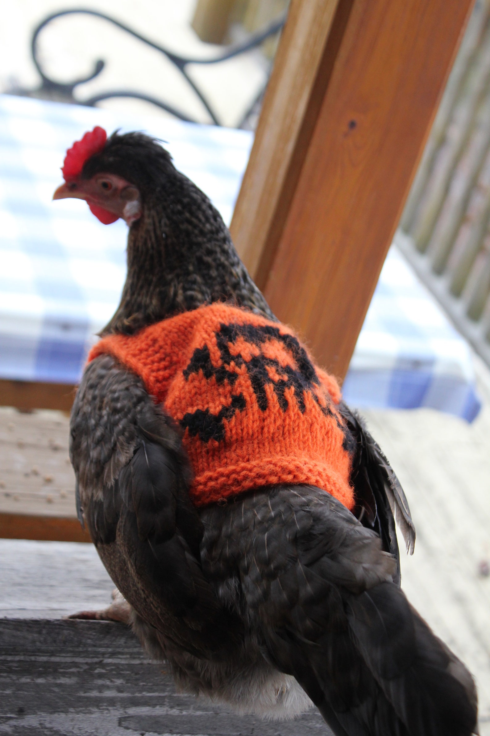 Hand Knit Chicken Sweaters. Message Us to Pick a Colour. - Etsy Canada