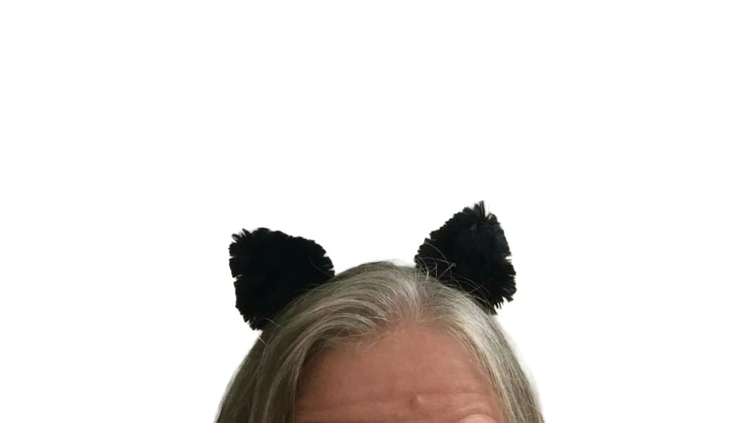 Kitty Cat Ears - Clip on Cat Ears - Cat Ears - Cat Ear Clips - Cat ...