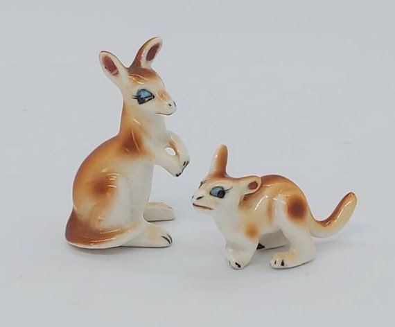 Miniature Kangaroo Pet