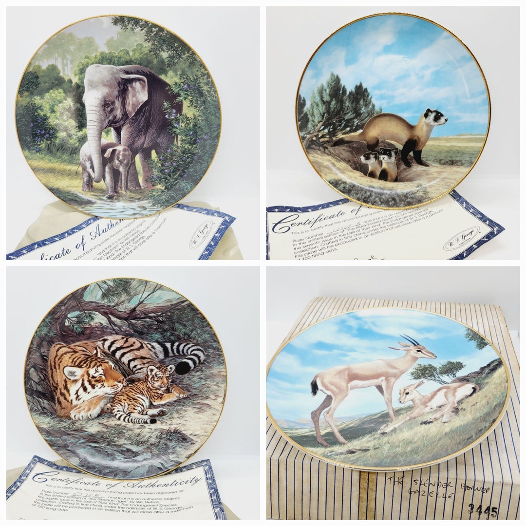 Endangered Species Plate, Last of Their Kind, Asian Elephant, Ferret ...