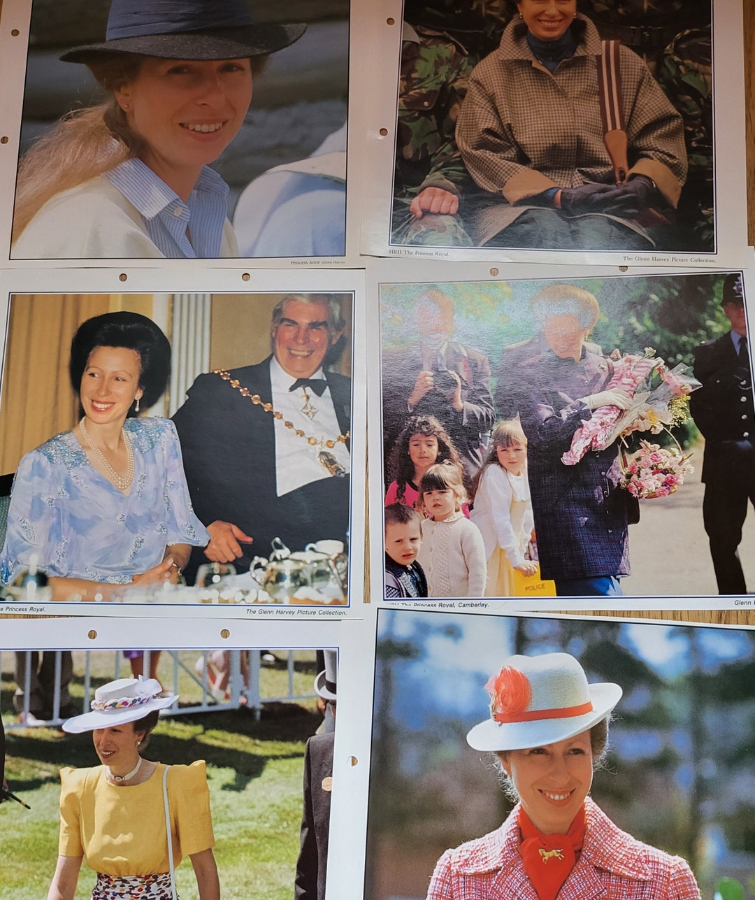 Princess Anne the Princess Royal Print, Colour Picture, Portrait ...