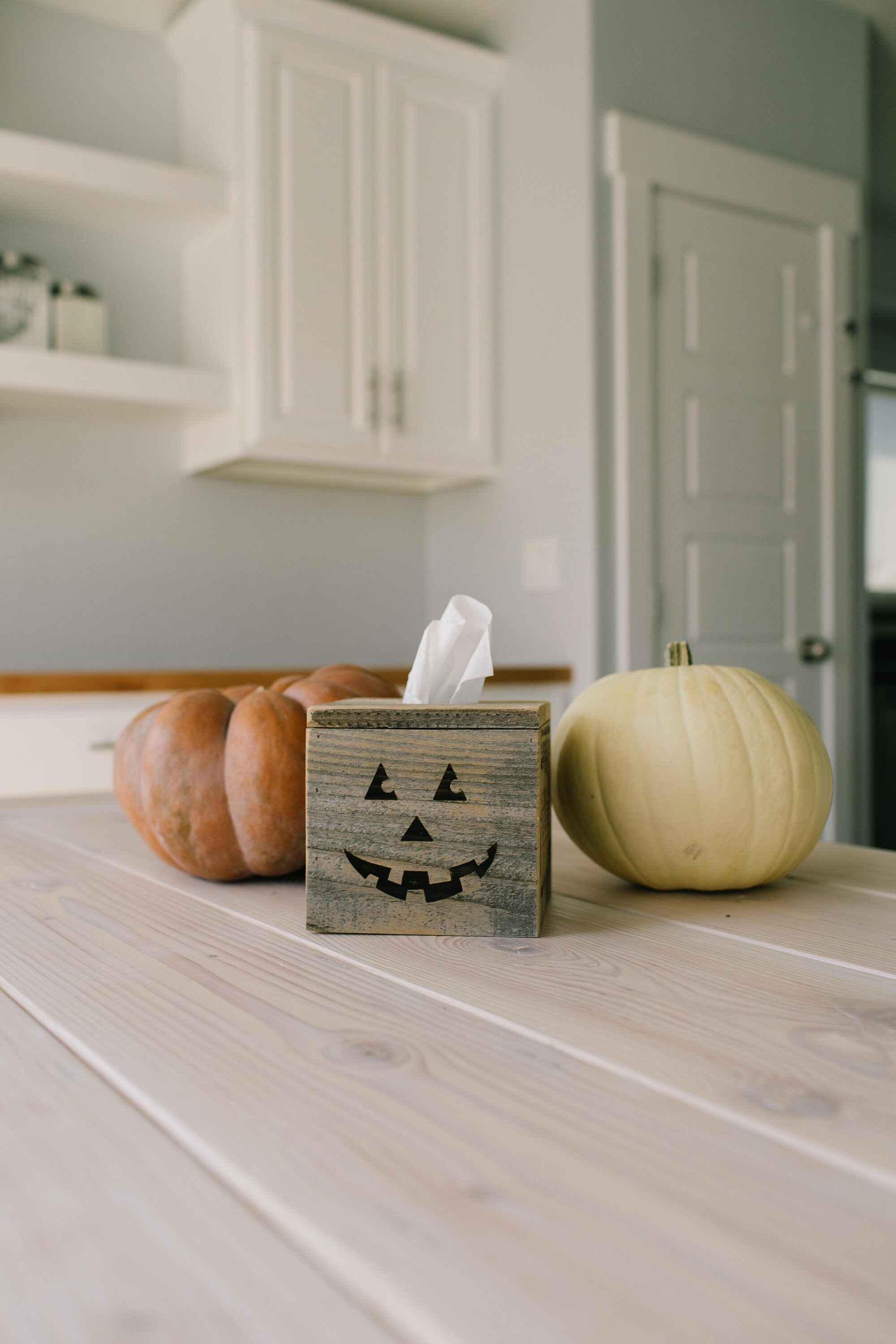 Pumpkin Tissue Box | Etsy