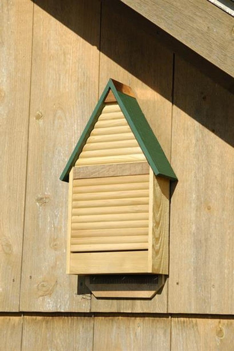 Bat Lodge Bat House - Etsy