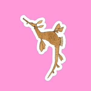 Weedy Seadragon | Coffee Art Weatherproof Vinyl Sticker - Etsy