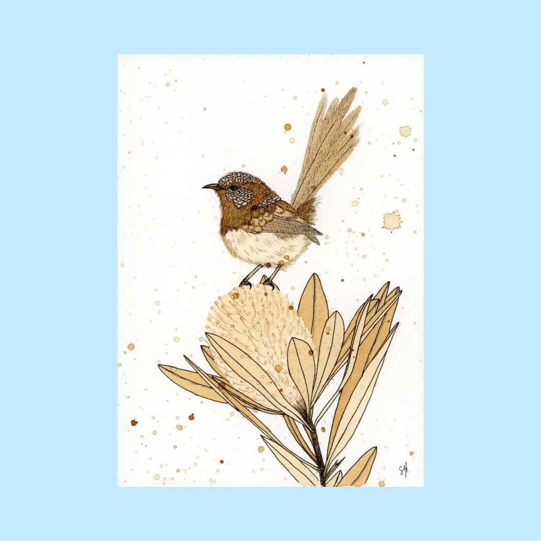 Blue Wren | Coffee Art Textured Print 5x7" or A4 - Etsy Australia