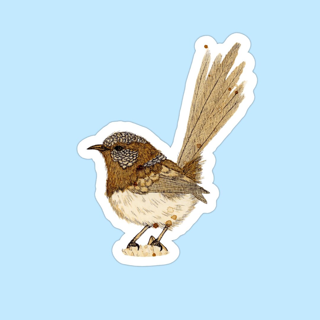 Blue Wren | Coffee Art Weatherproof Vinyl Sticker - Etsy