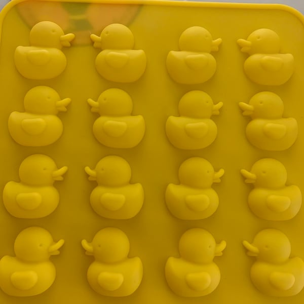 Flexible Duck Mold - Etsy