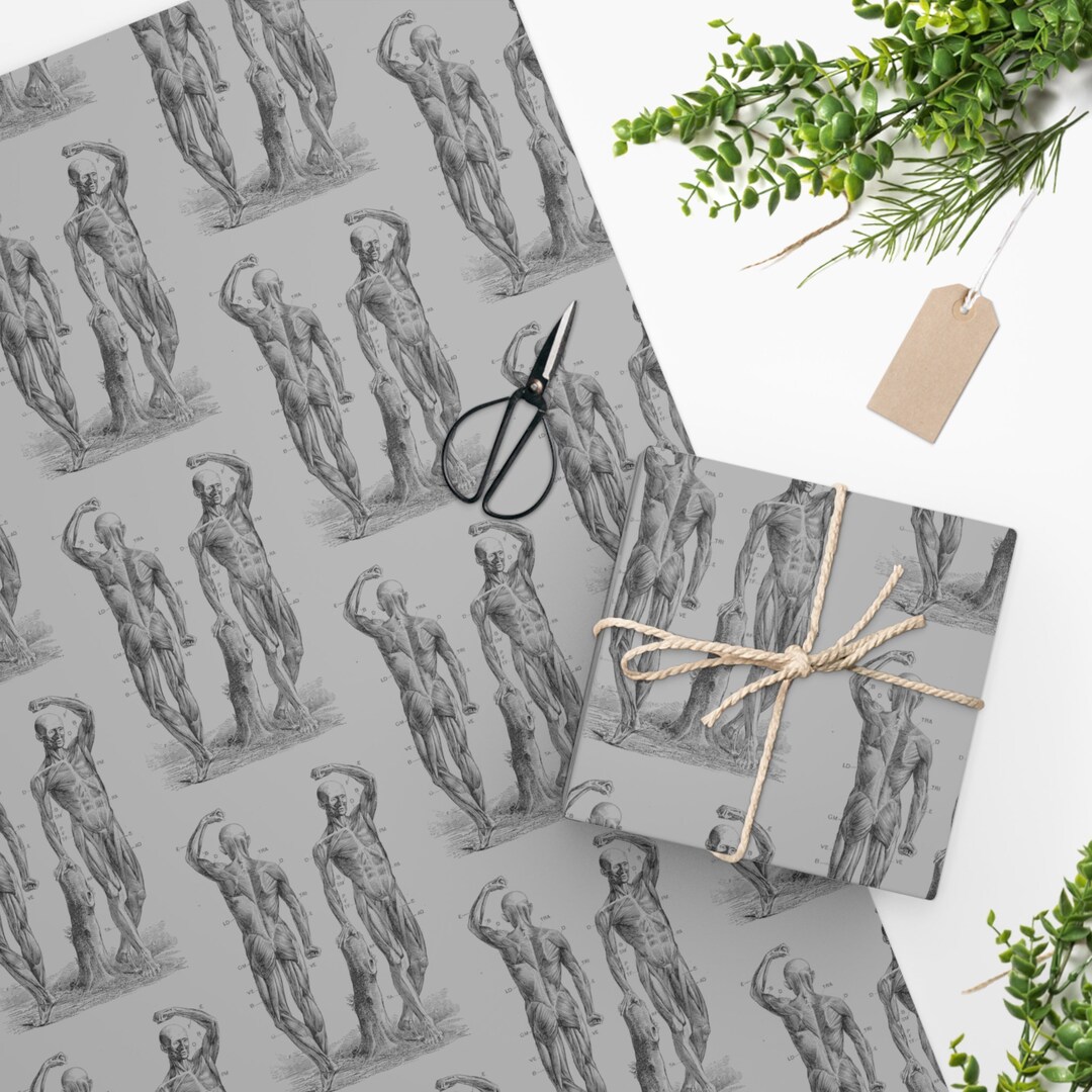 Anatomical Drawings Wrapping Paper - Vintage Medical Illustrations ...