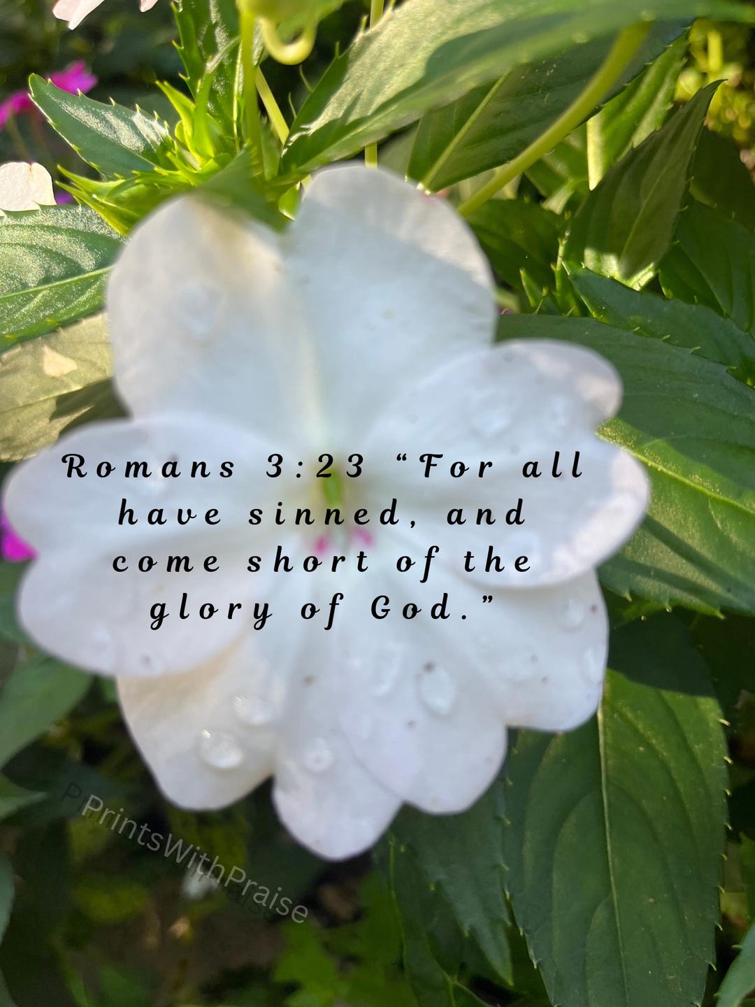 Romans 3:23 Scripture Wall Art “for All Have Sinned” Christian ...