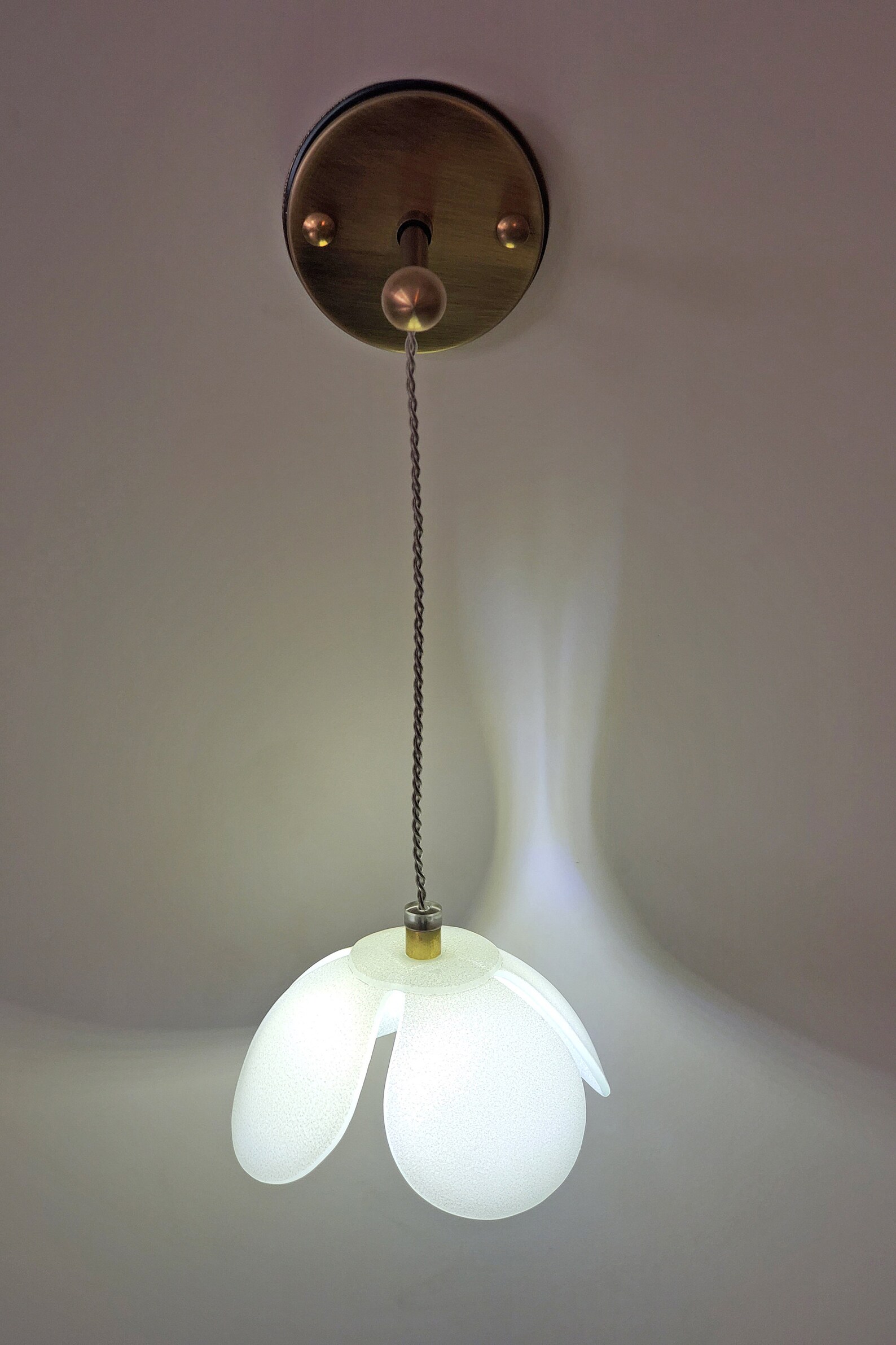 Flower Wall Light Sconce. Wall Lamp. | Etsy