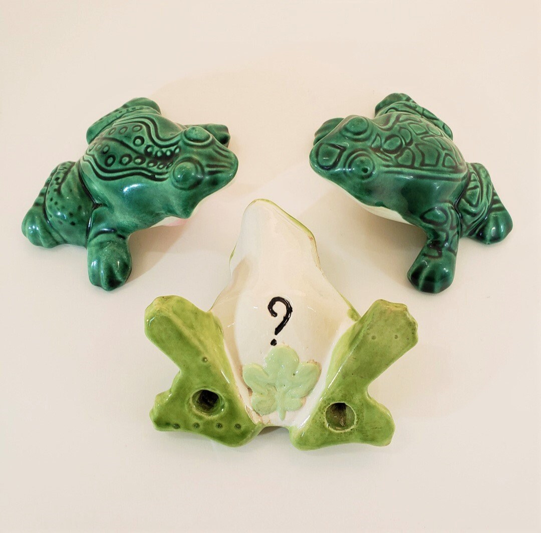 Anatomically Correct Gender Ceramic Frogs Set of 3, Male, Female, and ...