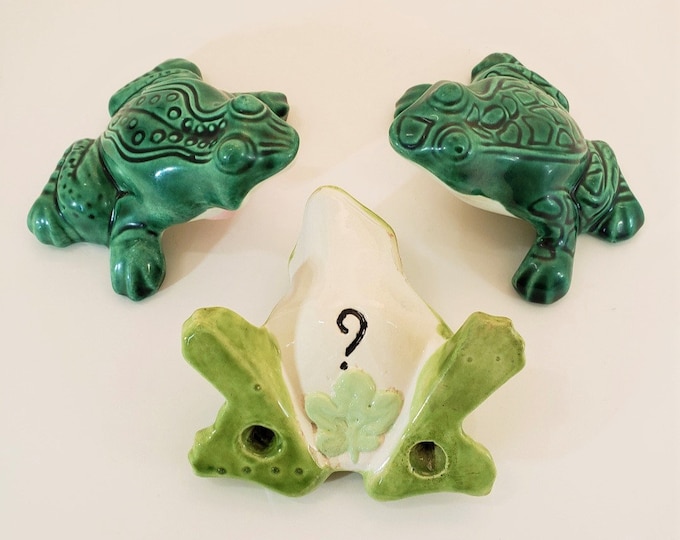 Anatomically Correct Gender Ceramic Frogs Set of 3, Male, Female, and ...