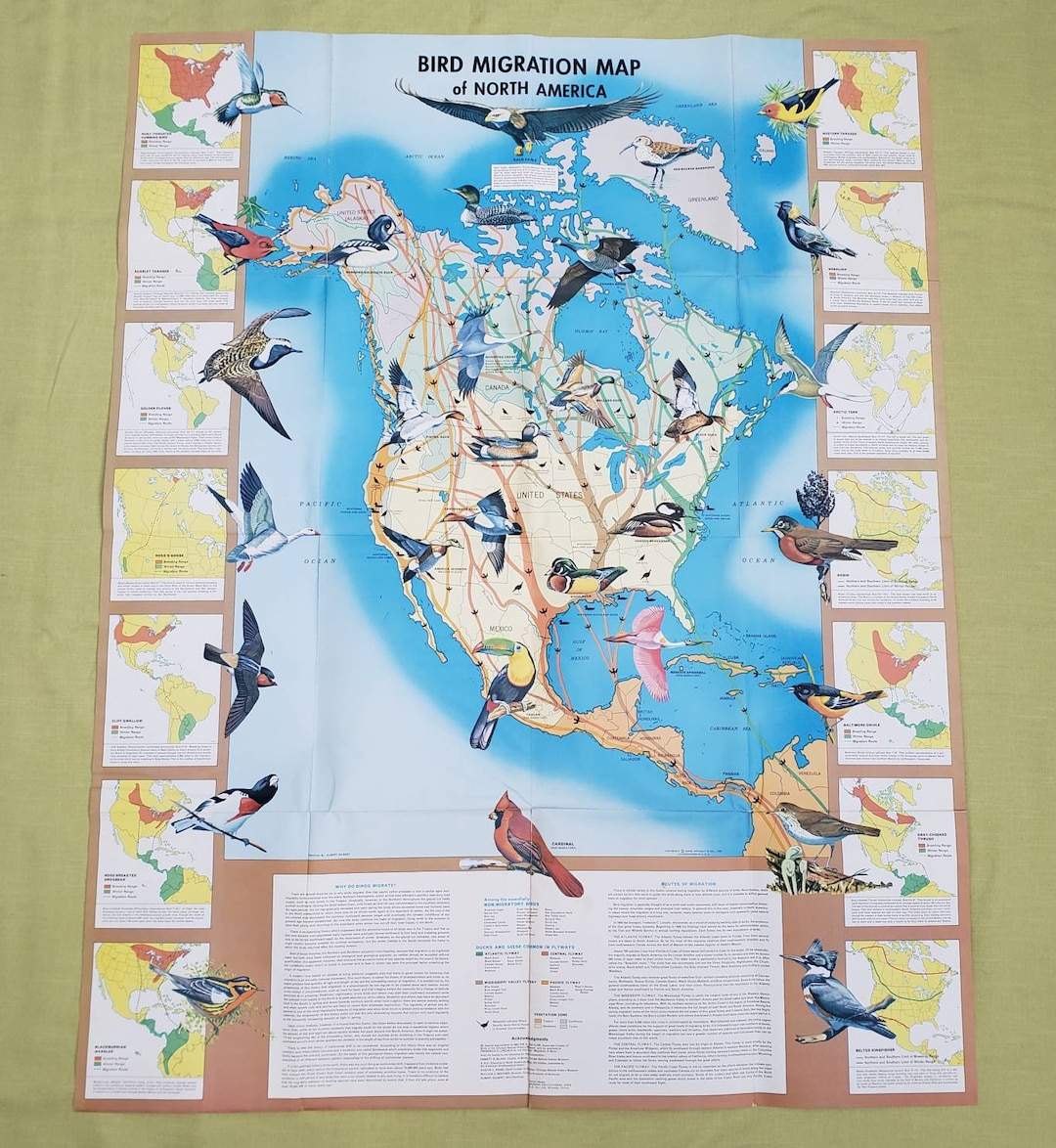 Bird Migration Map of North America, Vintage 1960 Rand Mcnally ...