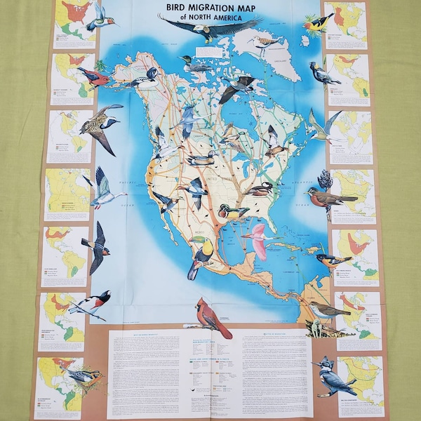 Bird Migration Poster - Etsy