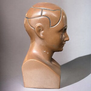 Paxipam Vintage Phrenology Bust, Medical Advertising Paperweight, High ...