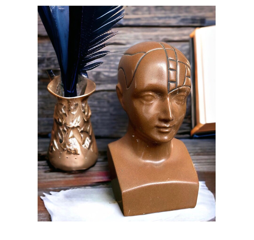 Paxipam Vintage Phrenology Bust, Medical Advertising Paperweight, High ...