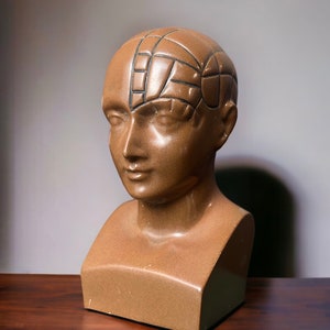 Paxipam Vintage Phrenology Bust, Medical Advertising Paperweight, High ...