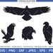 Bald Eagle Shapes Vector Clipart Set INSTANT DIGITAL DOWNLOAD Svg Png ...