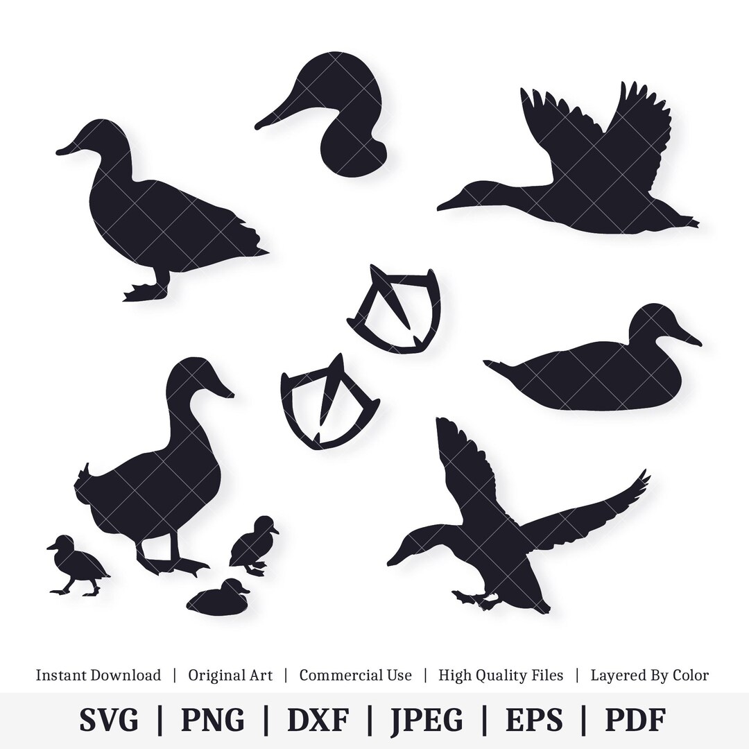 Duck Shapes | Vector Bundle | INSTANT DIGITAL DOWNLOAD | Svg | Png ...