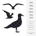 Seagull SVG Bundle - Seagull PNG Bundle - Seagull Clipart - Seagull SVG ...