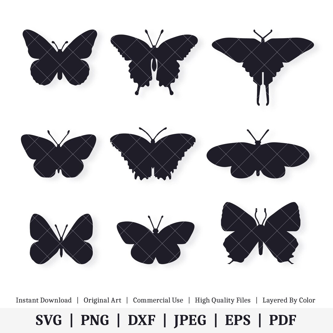 Basic Butterfly Shapes | Vector Bundle | INSTANT DIGITAL DOWNLOAD | Svg ...