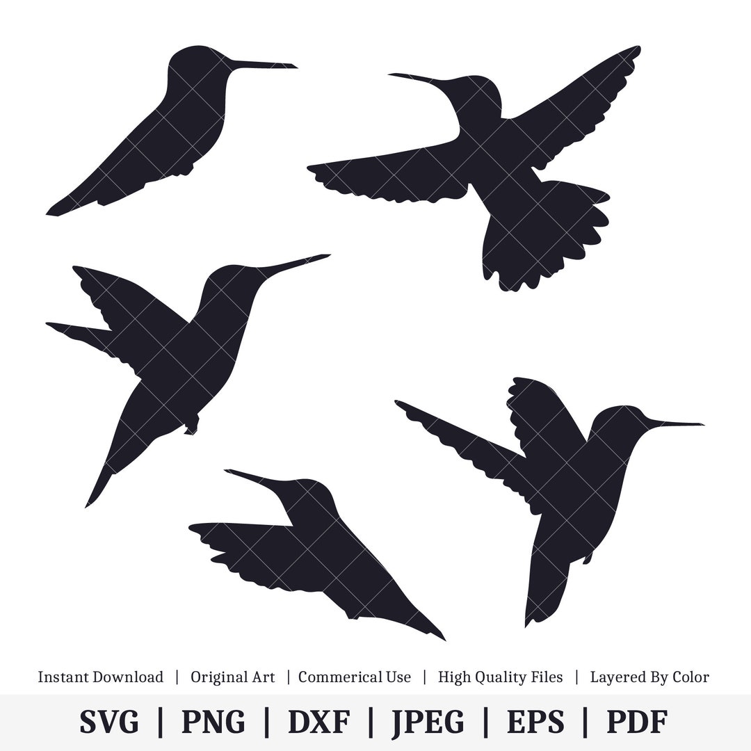 Basic Hummingbird Shapes Vector Bundle INSTANT DIGITAL DOWNLOAD Svg Png ...