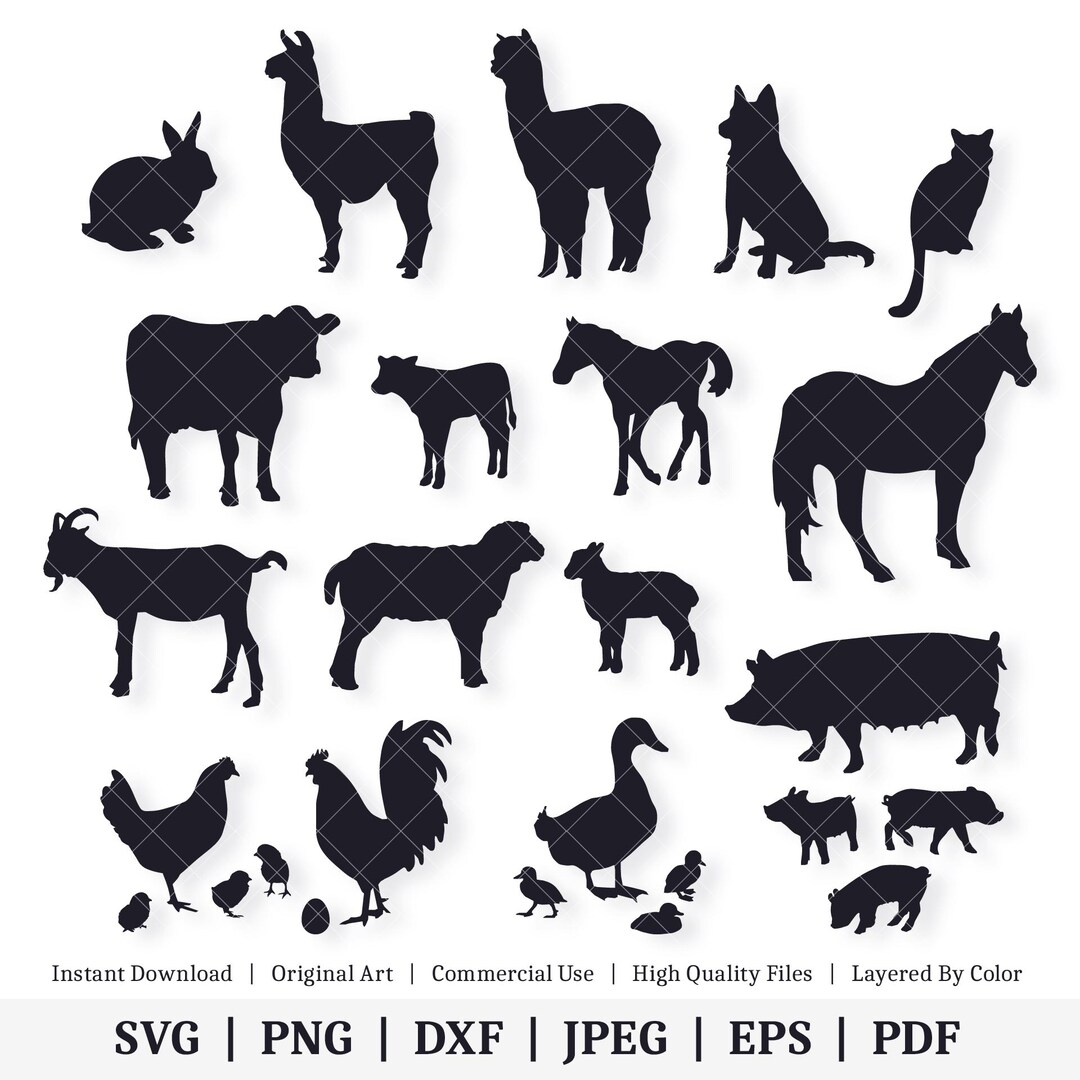 Farm Animals | Vector Bundle | INSTANT DIGITAL DOWNLOAD | Svg | Png ...