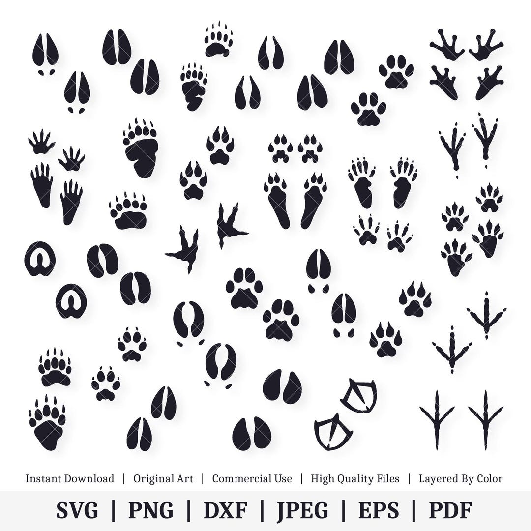Wildlife Tracks | Vector Bundle | INSTANT DIGITAL DOWNLOAD | Svg | Png ...