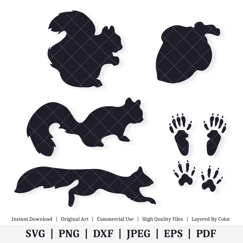 Squirrel Feet - Etsy