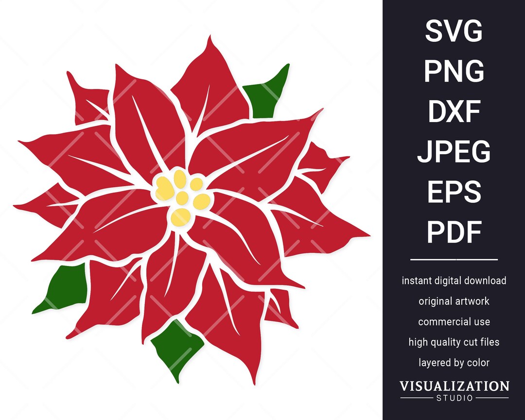 Christmas Poinsettia Vector Clipart INSTANT DIGITAL DOWNLOAD Svg Png ...