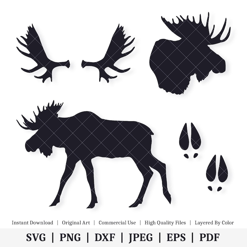 Moose Shapes | Vector Bundle | INSTANT DIGITAL DOWNLOAD | Svg | Png ...