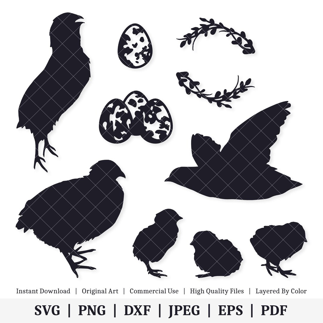 Coturnix Quail Shapes | Vector Bundle | INSTANT DIGITAL DOWNLOAD | Svg ...