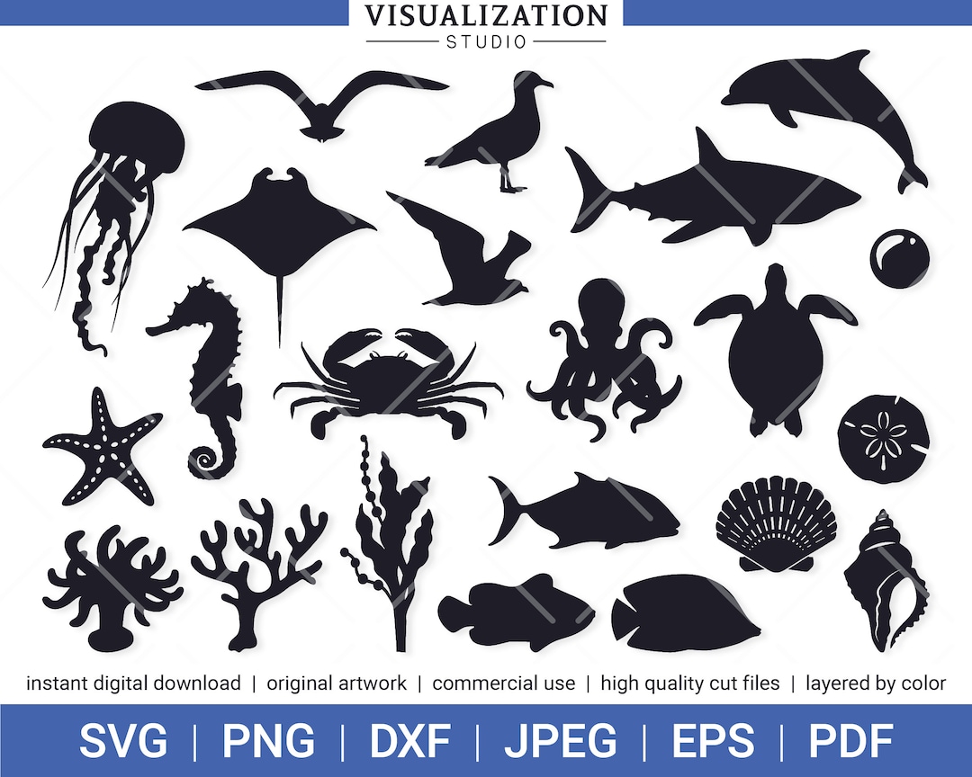 Sea Life Bundle Vector Clipart Set INSTANT DIGITAL DOWNLOAD Svg Png Dxf ...