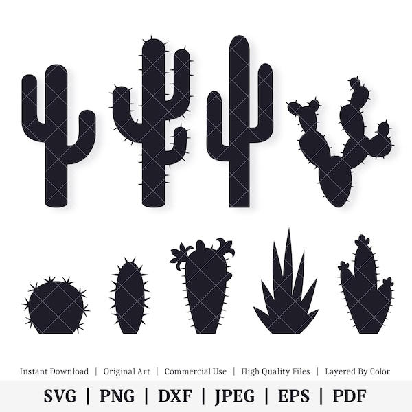 Cactus Svg - Etsy