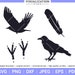 Raven Shapes Vector Clipart Set INSTANT DIGITAL DOWNLOAD Svg Png Dxf ...