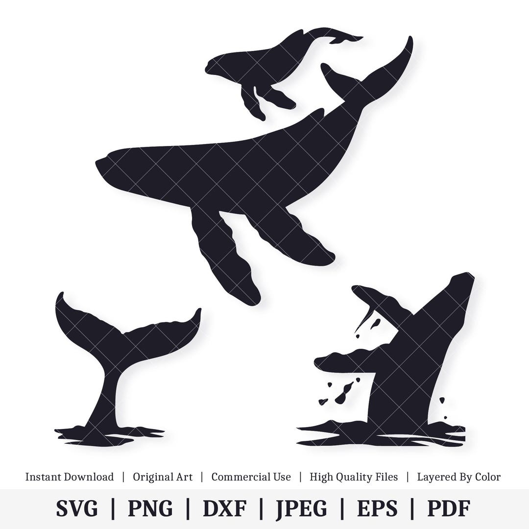 Humpback Whale | Vector Bundle | INSTANT DIGITAL DOWNLOAD | Svg | Png ...