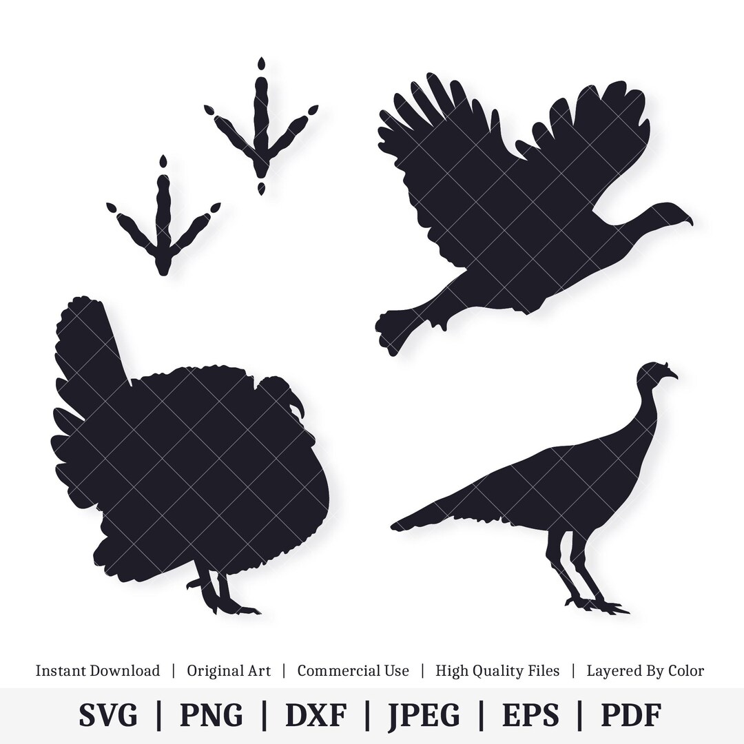 Wild Turkey Shapes | Vector Bundle | INSTANT DIGITAL DOWNLOAD | Svg ...