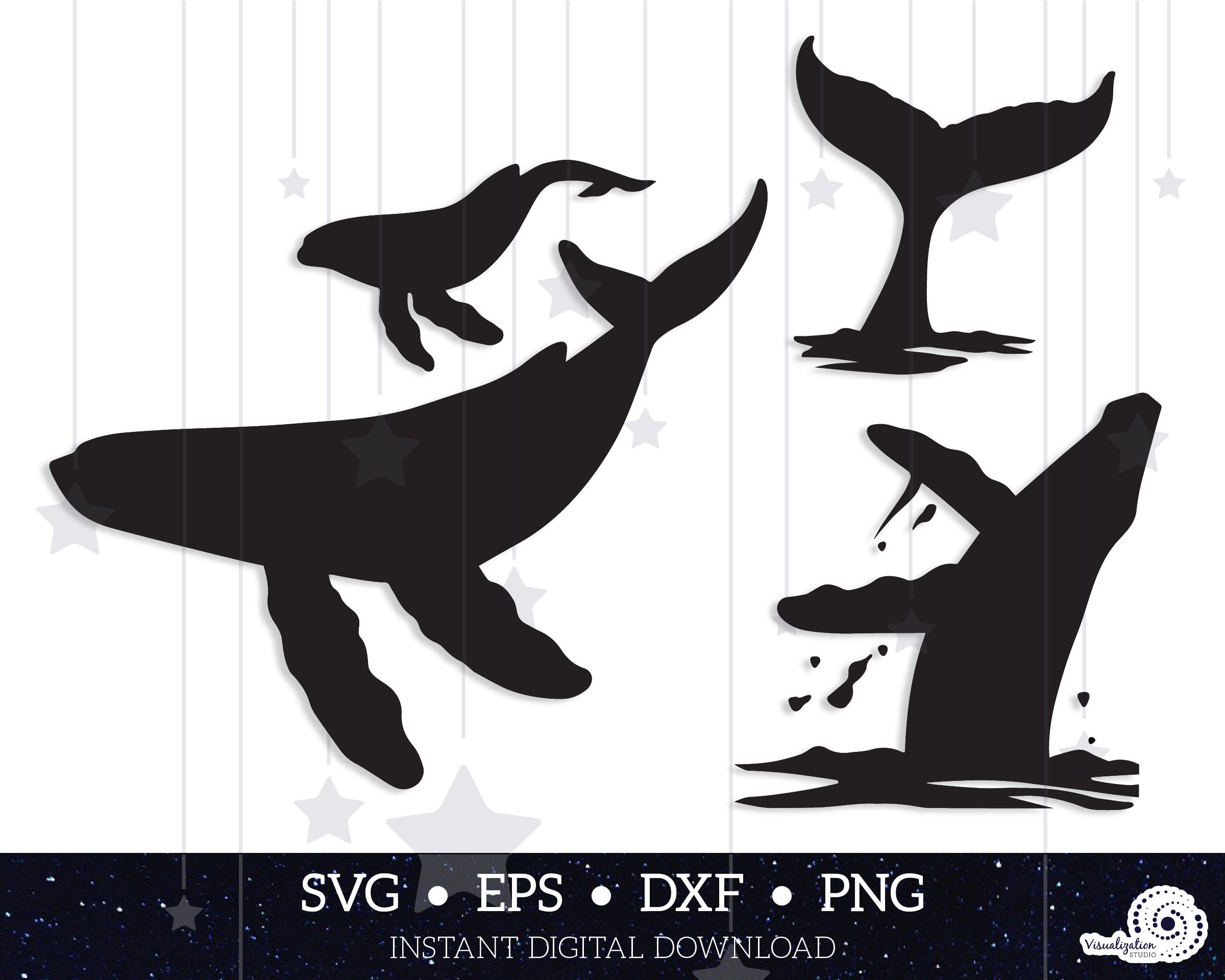 Humpback Whale Vector Set INSTANT DIGITAL DOWNLOAD svg | Etsy
