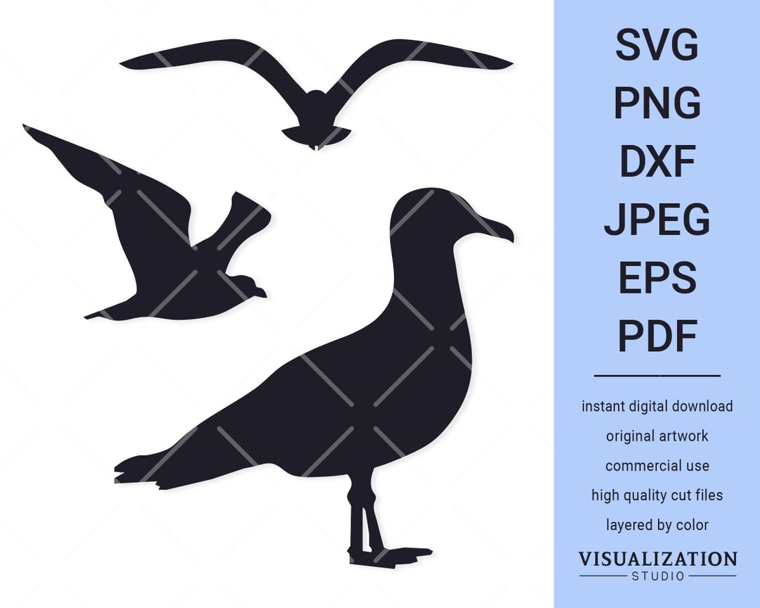 Seagull Shapes Vector Clipart Set INSTANT DIGITAL DOWNLOAD Svg Png Dxf ...