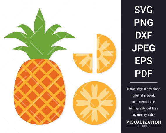 Pineapple Vector Clipart Set INSTANT DIGITAL DOWNLOAD | Etsy