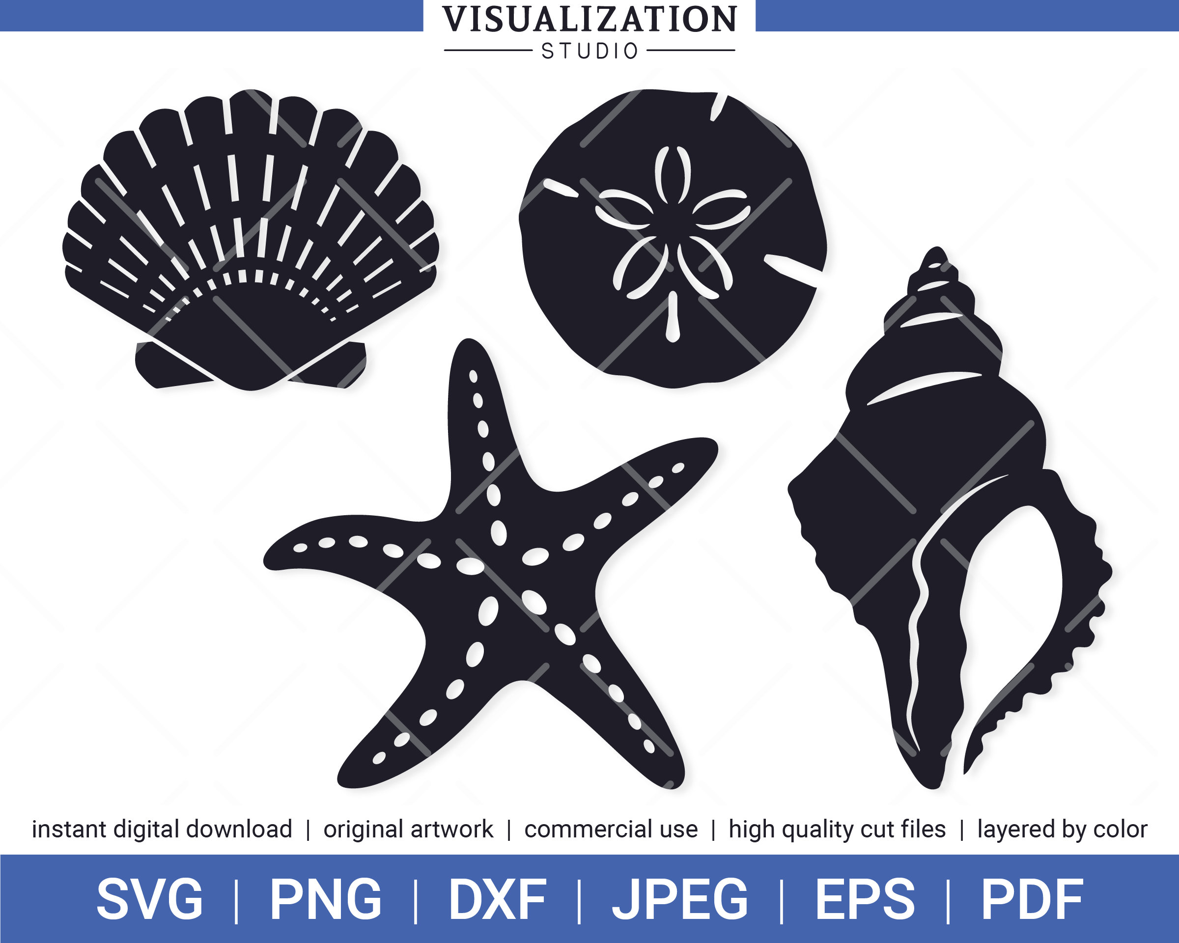 Seashell Vector Clipart Chicago