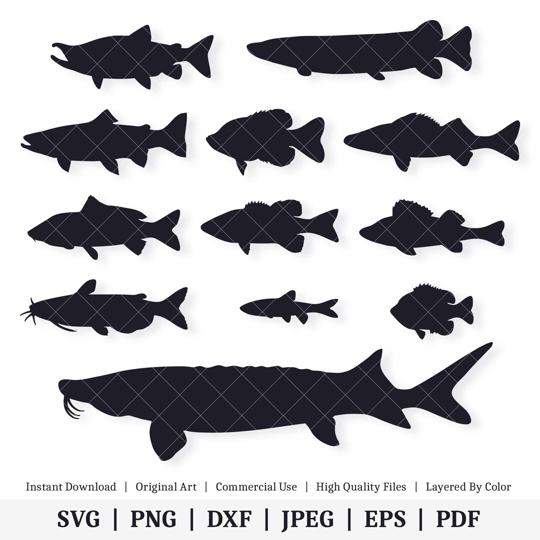 River Lake Fish Shapes | Vector Bundle | INSTANT DIGITAL DOWNLOAD | Svg ...