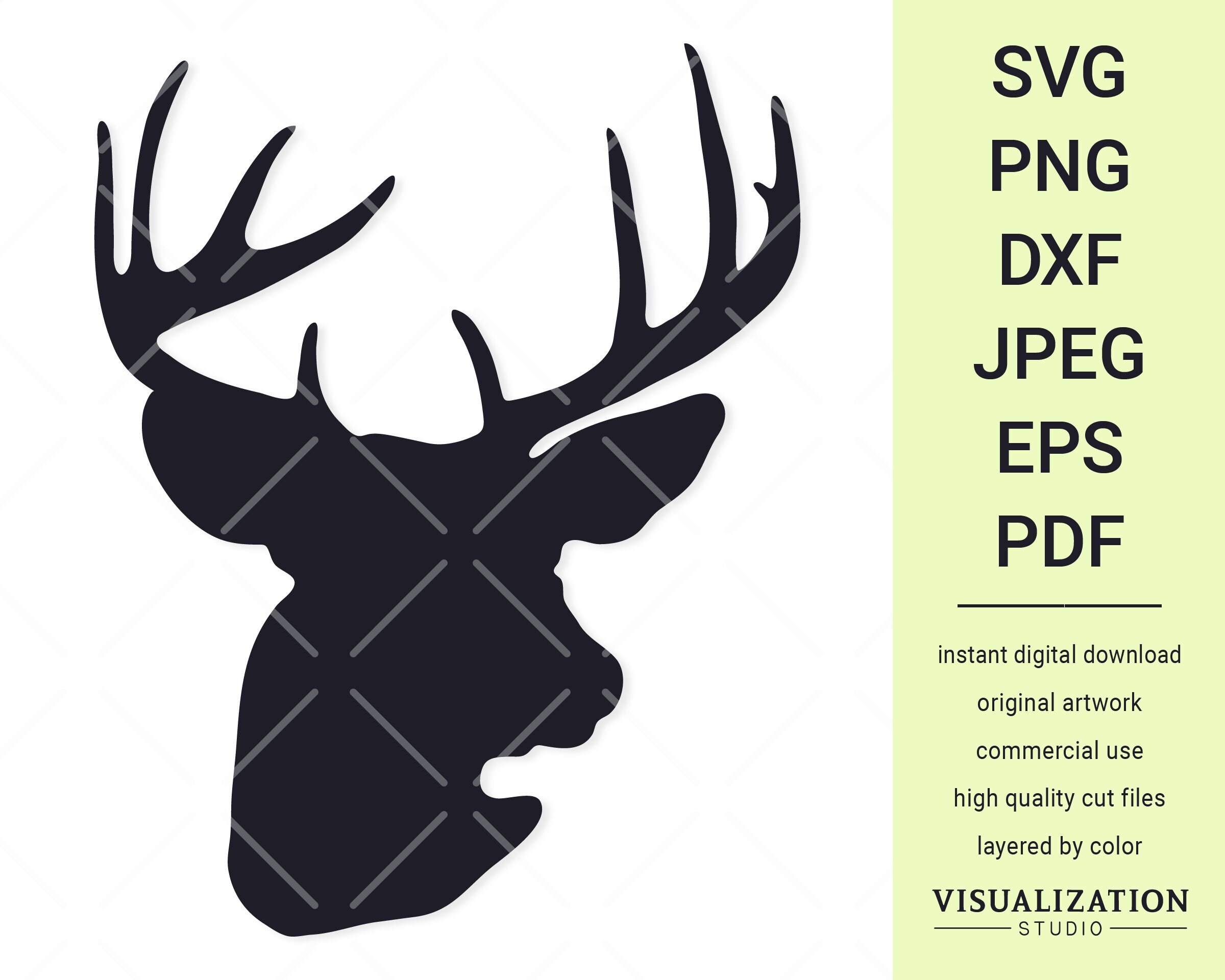 Whitetail Deer Vector