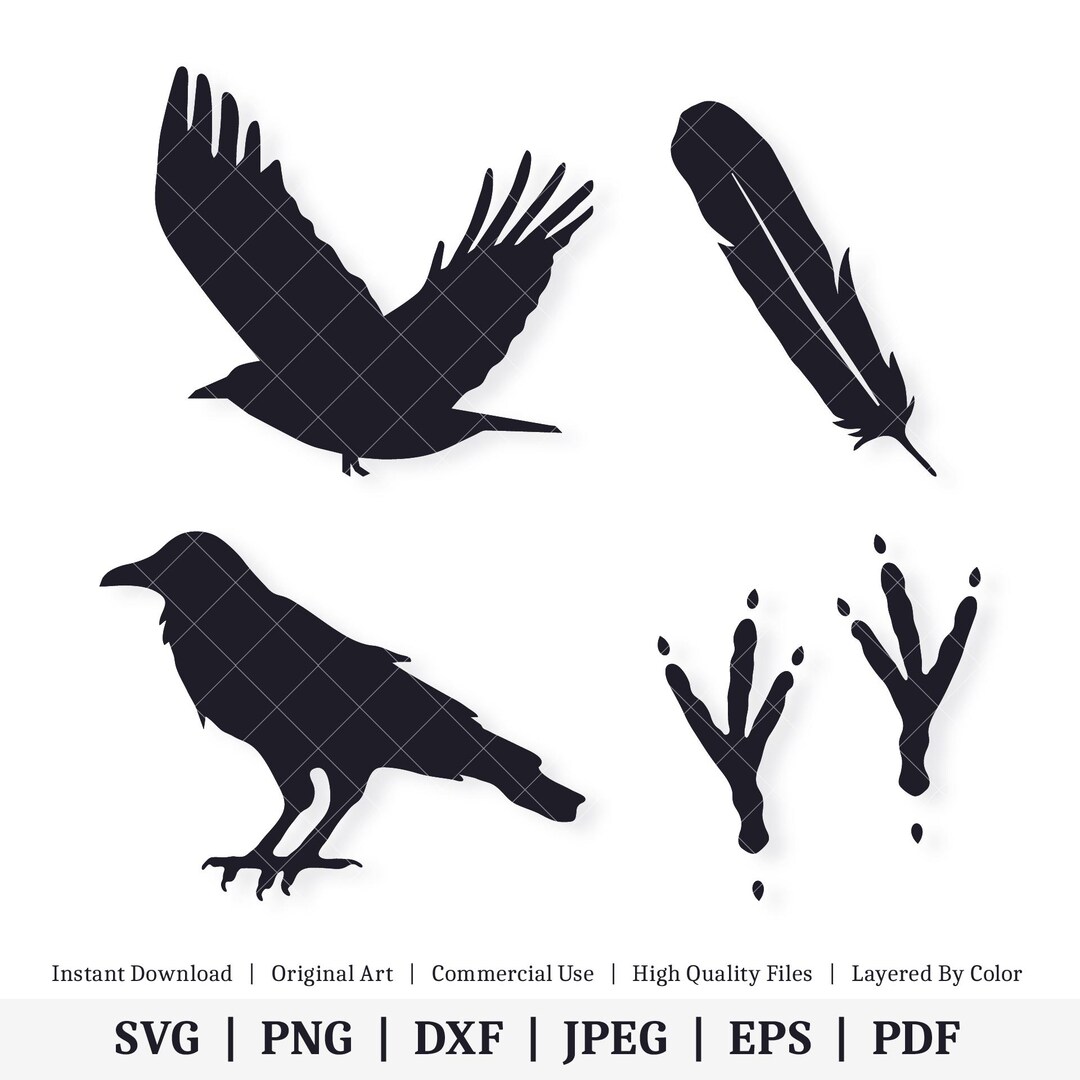 Raven Shapes | Vector Bundle | INSTANT DIGITAL DOWNLOAD | Svg | Png ...