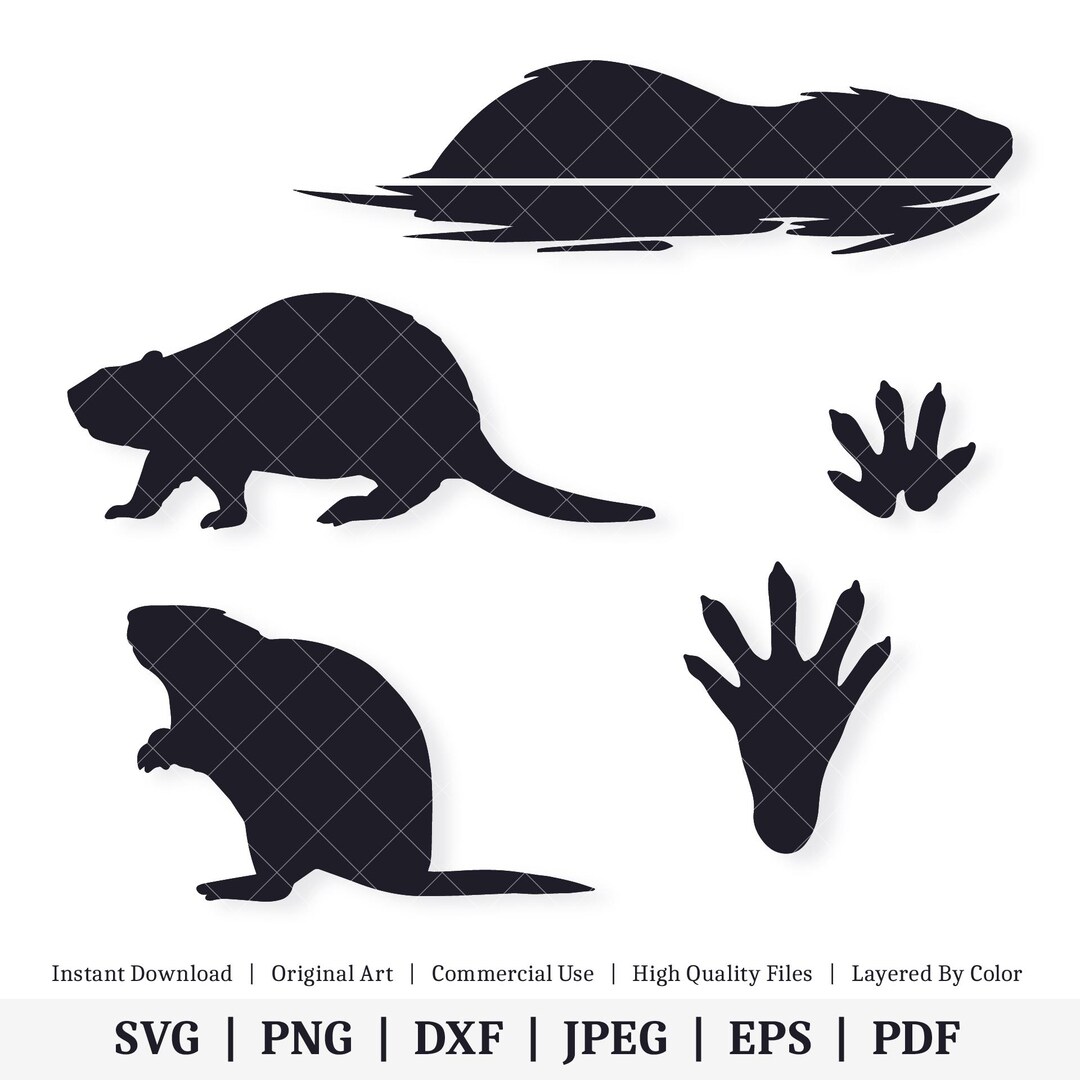 Beaver Shapes | Vector Bundle | INSTANT DIGITAL DOWNLOAD | Svg | Png ...